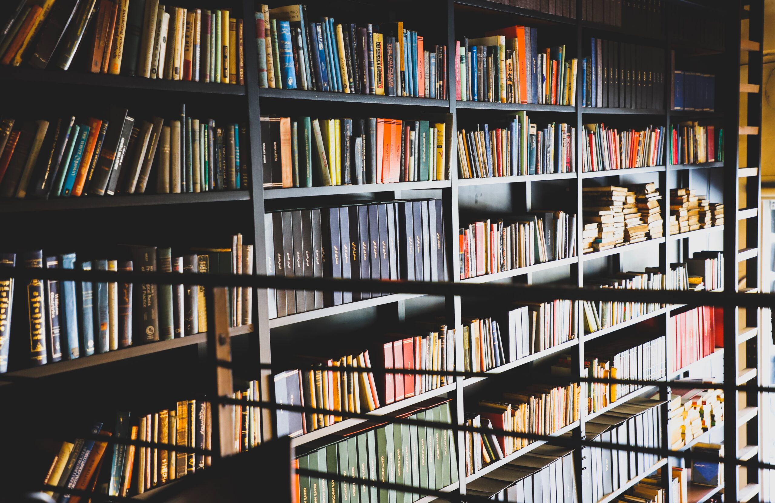 Humanist Studies Program – AHA Center for Education